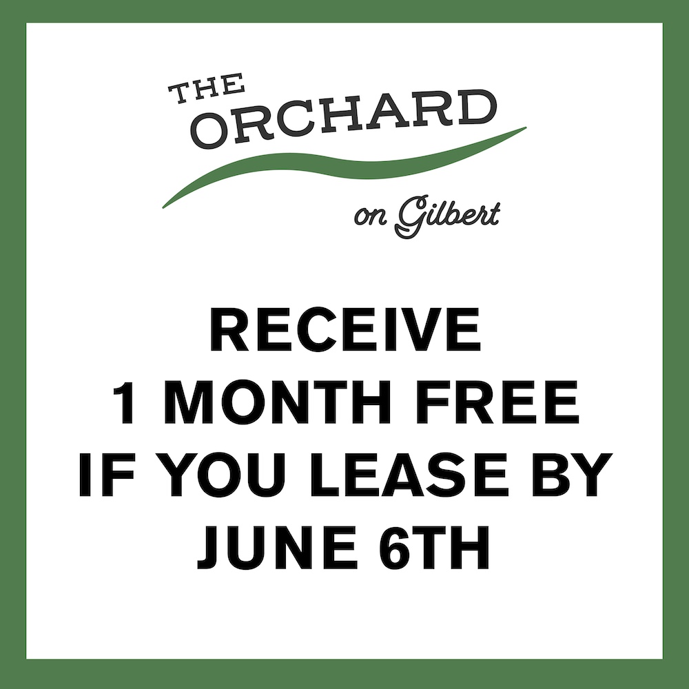 Apartments For Rent | Orchard on Gilbert Apartments | Gilbert, AZ