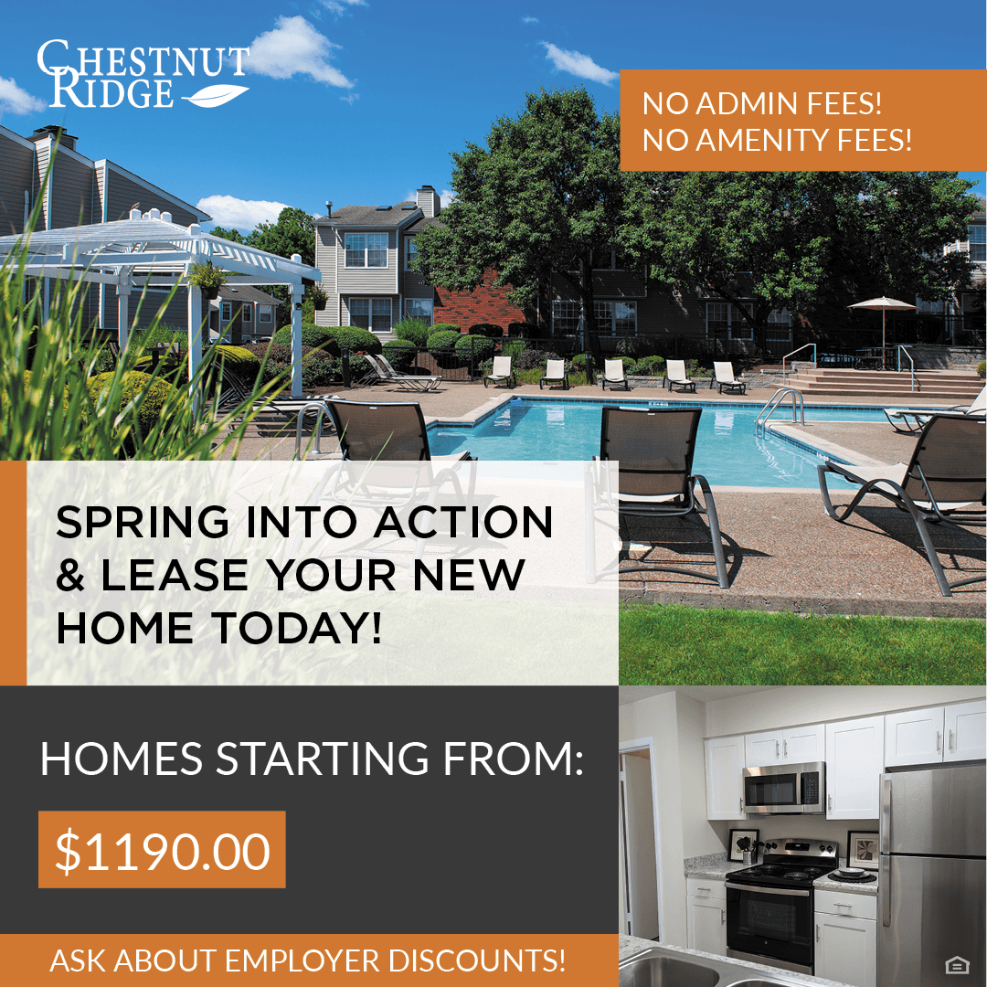 1 & 2 Bedroom Apartments in Robinson, PA | Chestnut Ridge