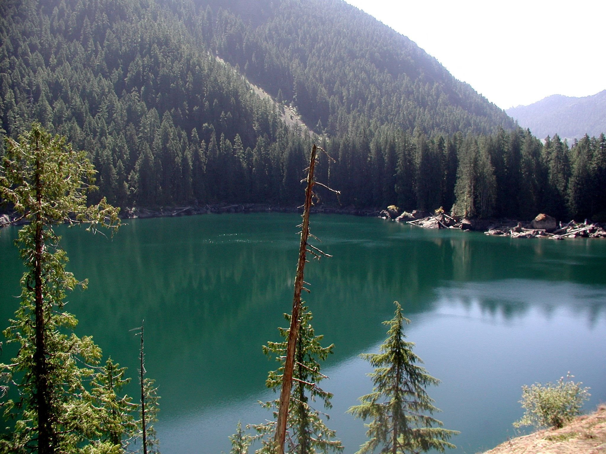 Gateway Property Management | Apartments in Shelton, WA | RENTCafe