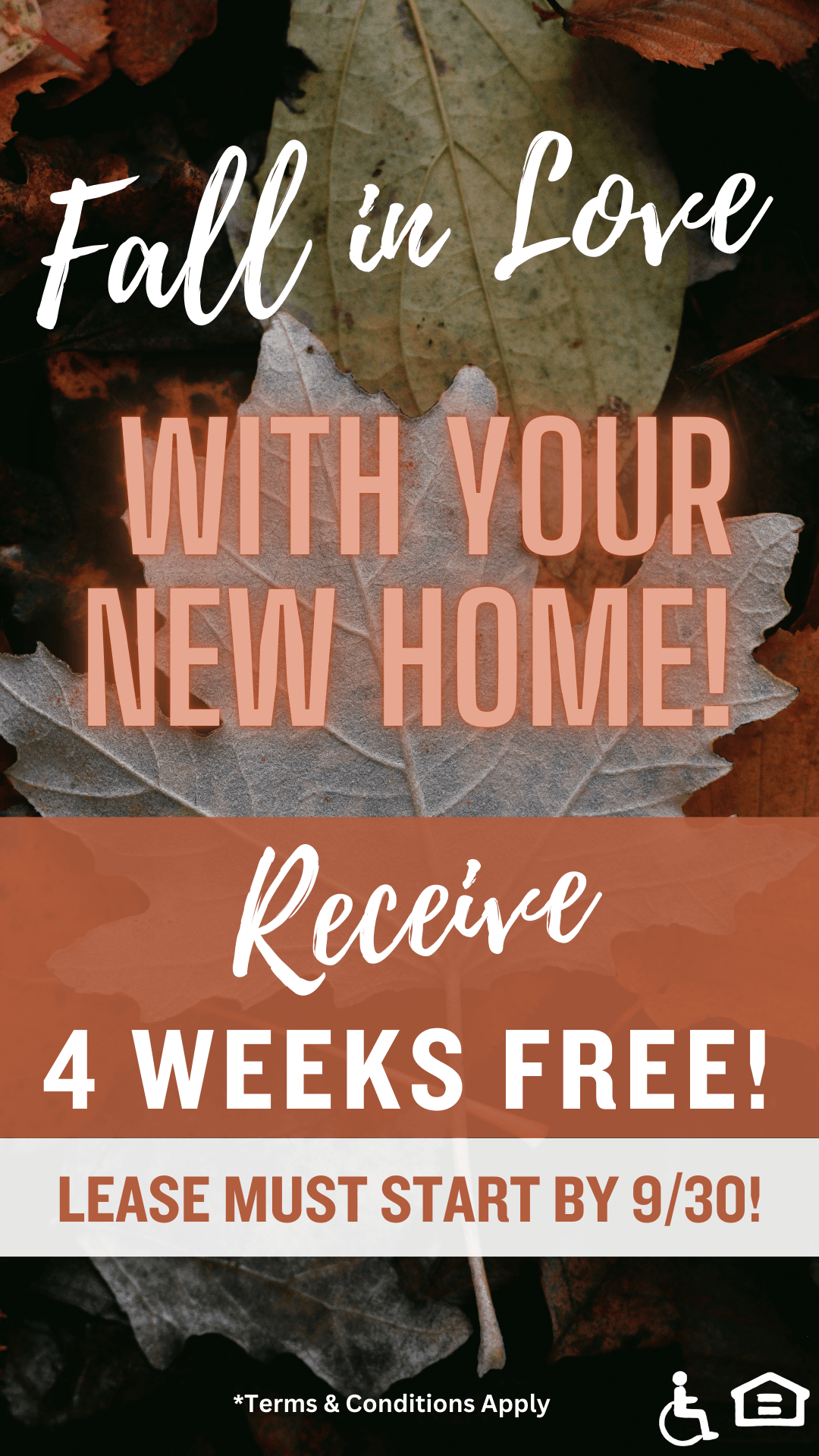 🍂 10 Creative & Affordable Fall Activities for Apartment Renters This ...