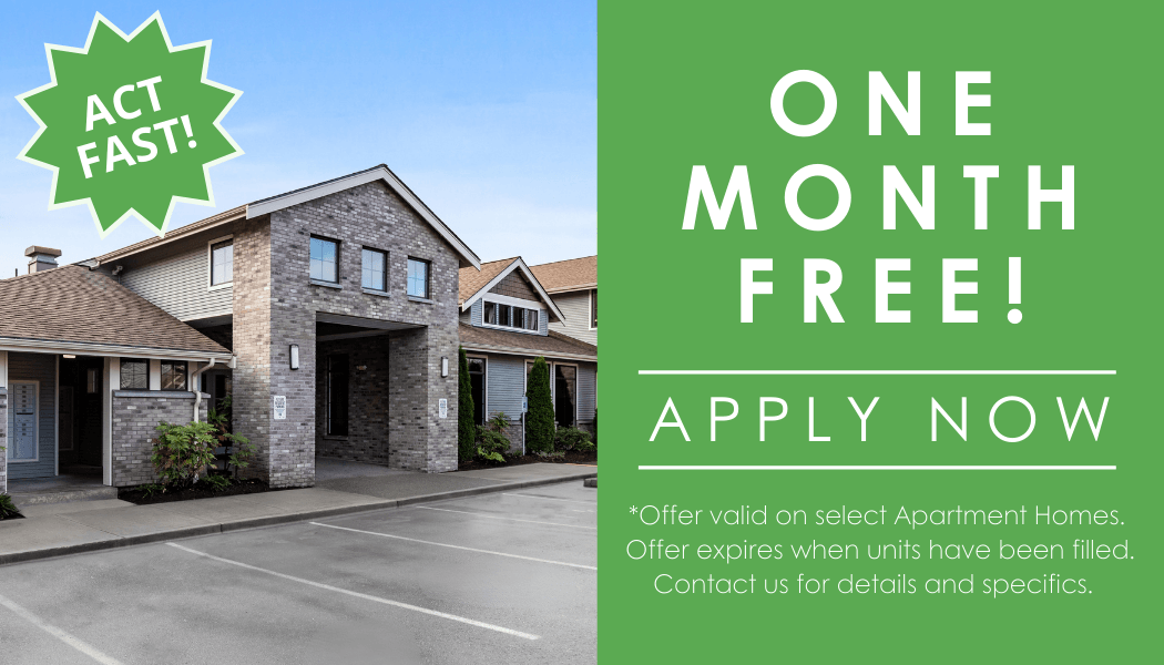 Willow Tree Grove | Apartments in Bothell, WA