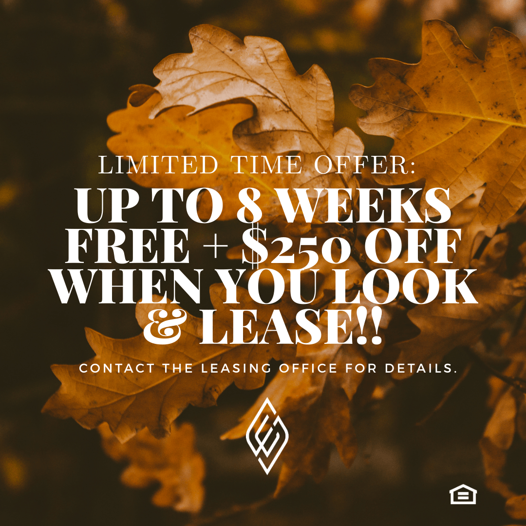 Luxury Apartments in Gilbert, AZ | Everly | Home Page