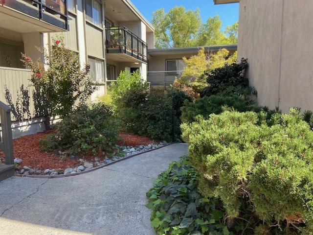 Photos and Video of Shelfield Apartments in Carmichael, CA