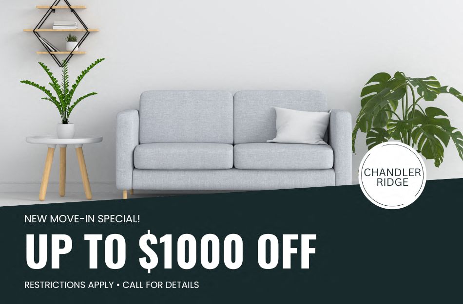 Chandler Ridge Apartments | Chandler, Arizona