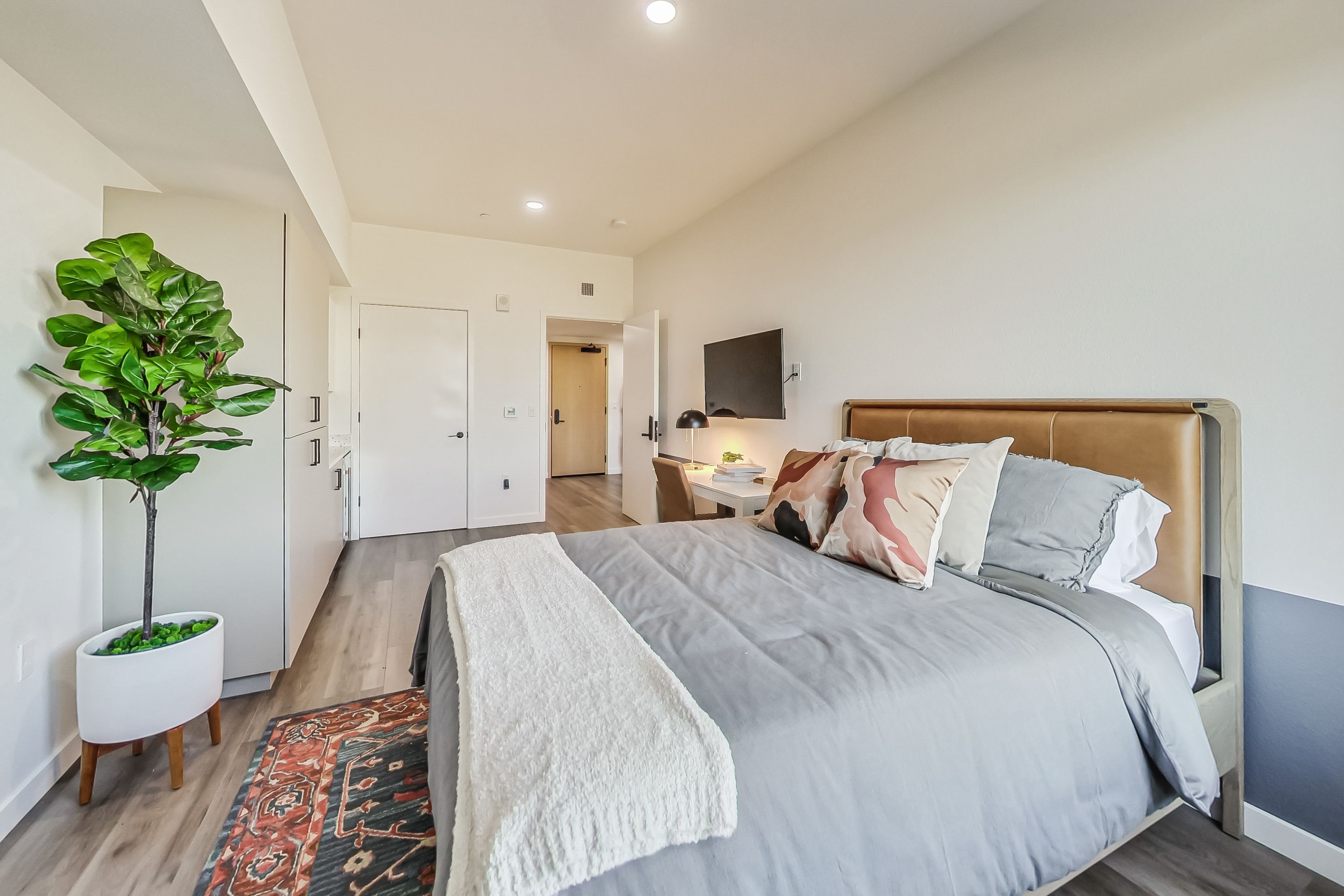 Property Details - ArtHaus Partners