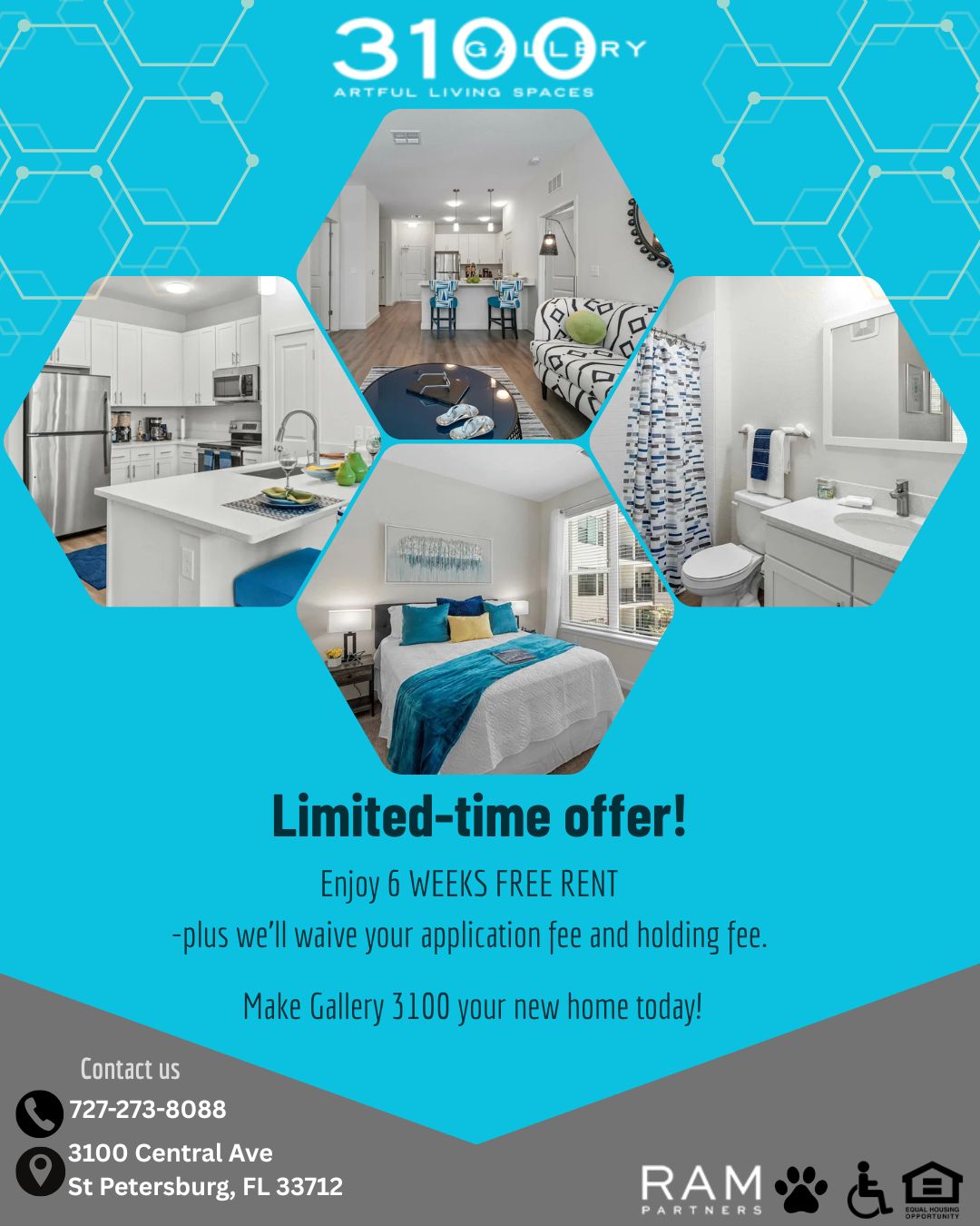 St. Petersburg, FL Luxury Apartments | Gallery 3100 | Home