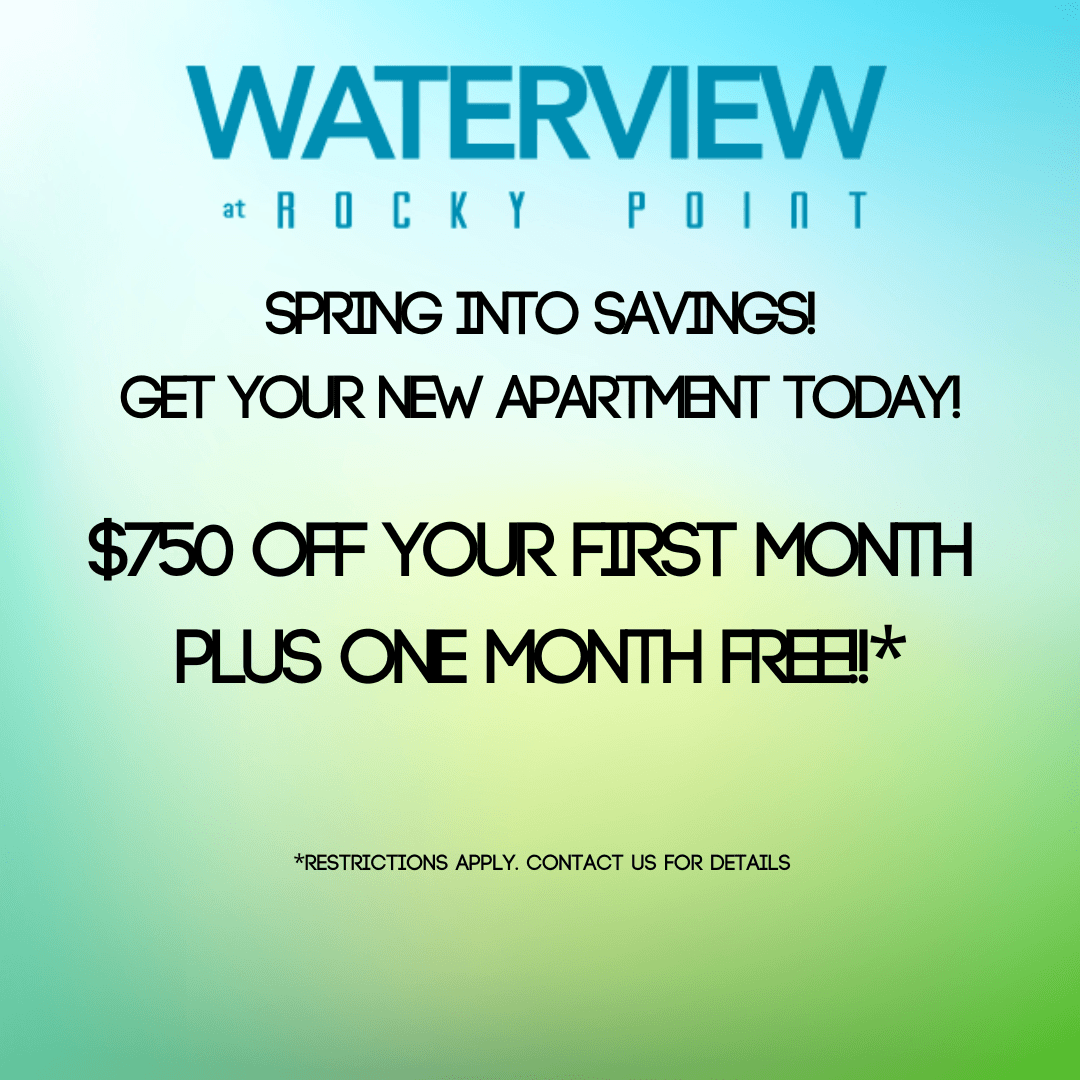 Rocky Point Tampa Apartments | Waterview at Rocky Point