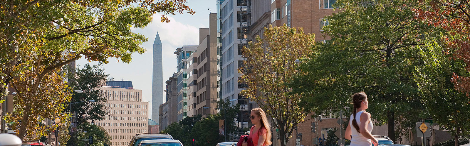 Login to The Palisades to track your account | The Palisades