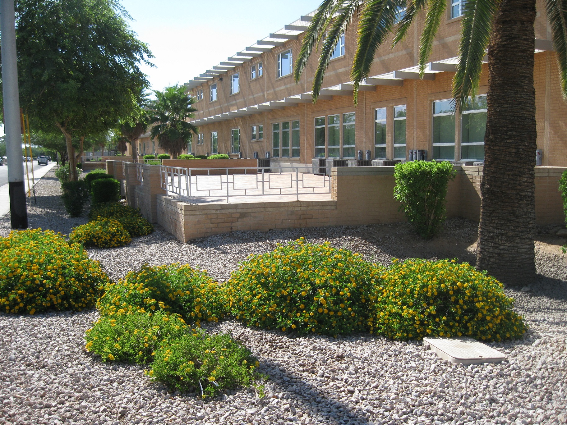 Photos and Video of Garfield Commons in Phoenix, AZ