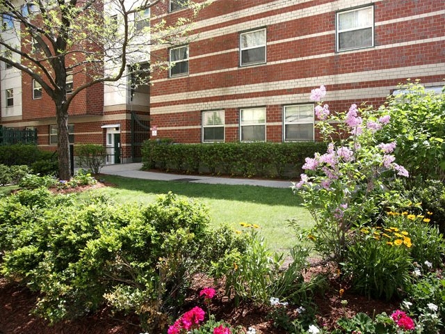 Photos | Oak Terrace Apartments in Boston