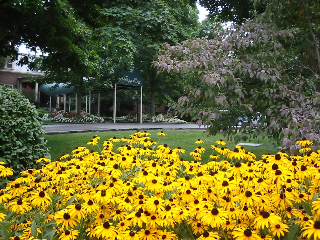 Login to Merrick Place IV Resident Services | Merrick Place IV