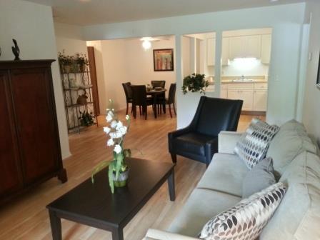 Photos and Video of Circle Dr. Commons in Detroit, MI