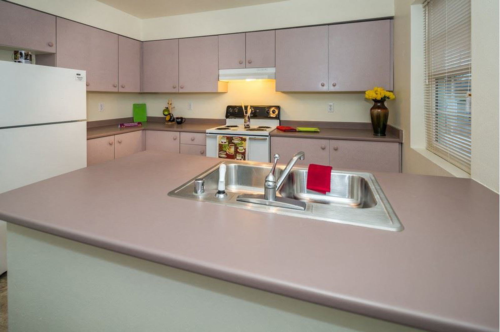 Photos and Video of Spruce View in Anchorage, AK