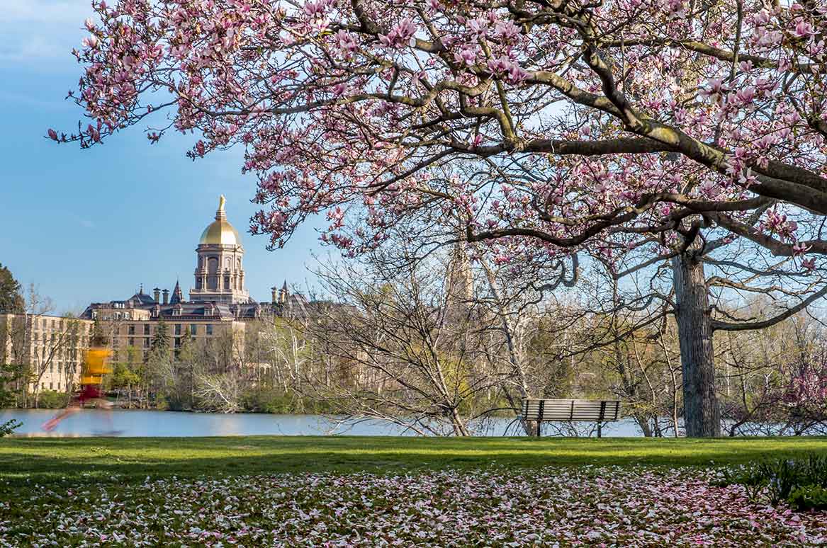 Fischer, O'Hara-Grace Residences | Apartments in Notre Dame, IN