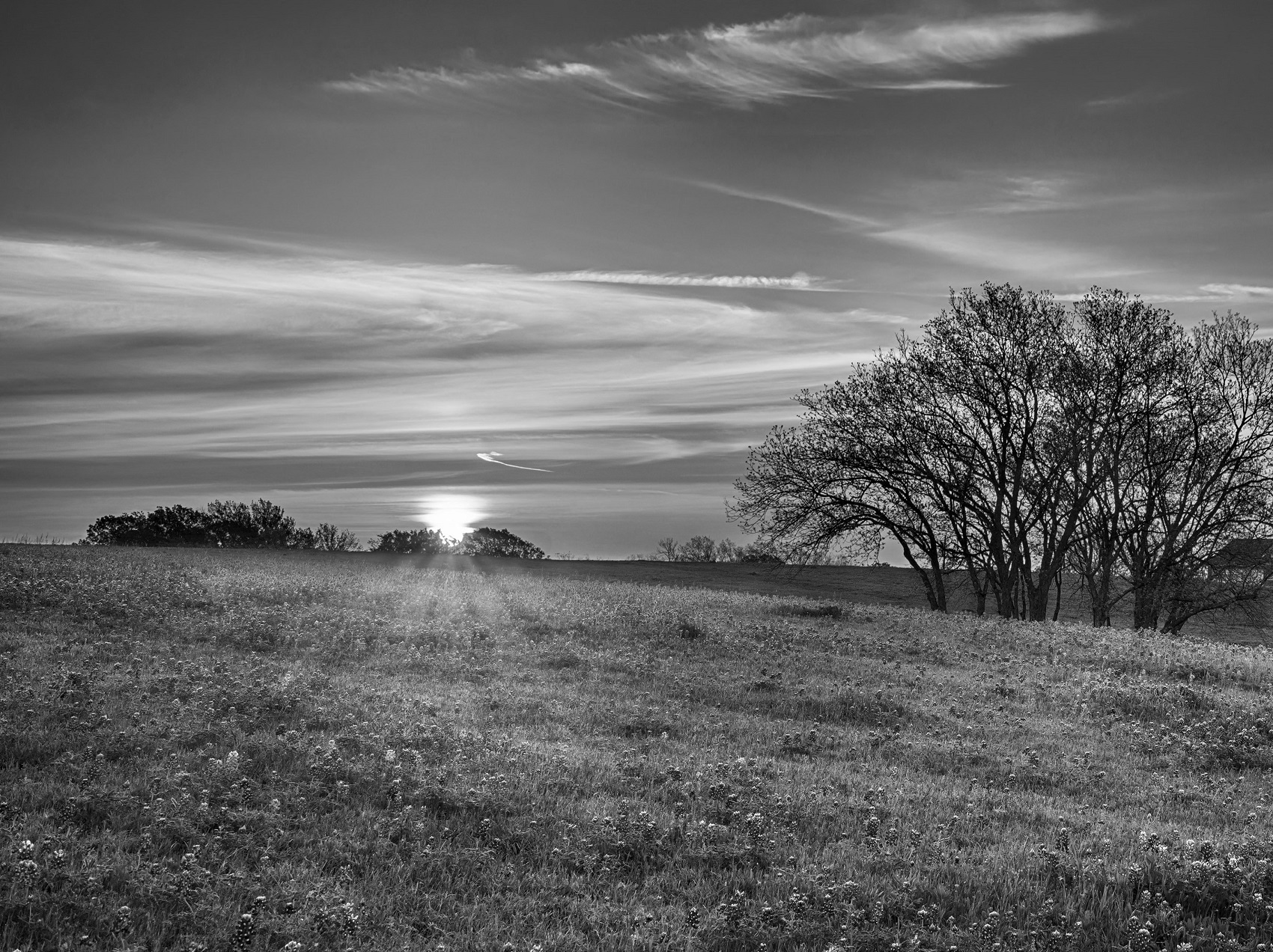Dyess Family Homes | Family Housing at Dyess AFB, TX