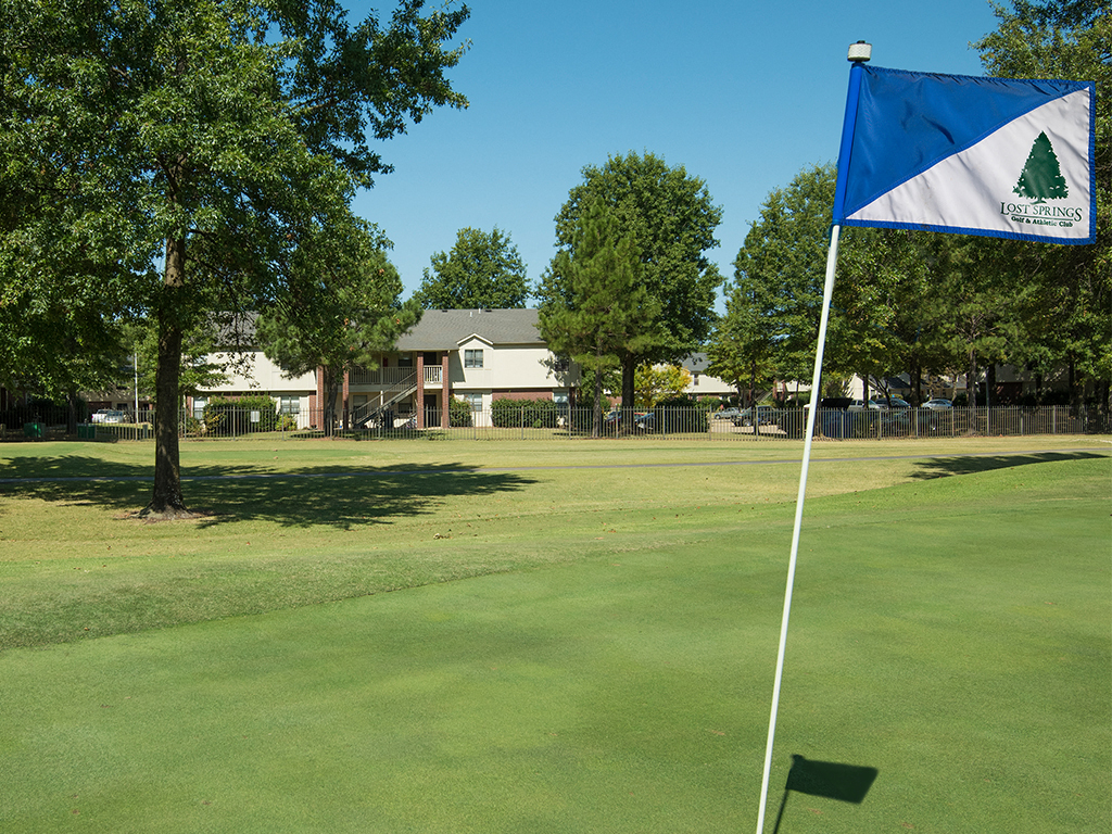 Photos and Video of Lost Springs in Rogers, AR