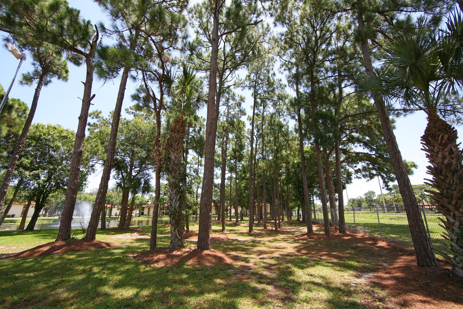 Photos and Video of Virginia Park Residences in FORT PIERCE, FL