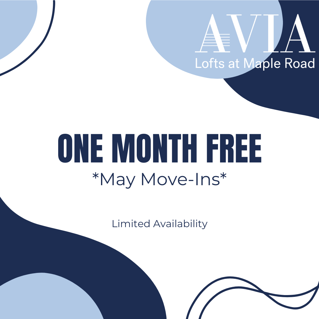 Avia Lofts at Maple Road | Apartments in Amherst, NY