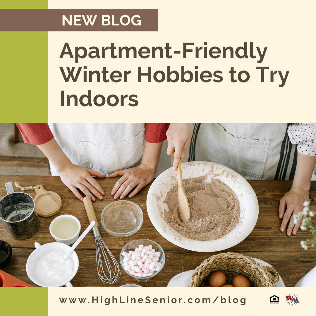 Apartment-Friendly Winter Hobbies to Try Indoors - The HighLine Blog